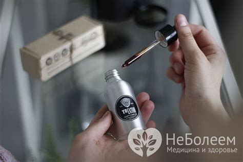 3-samykh-poleznykh-produkta-s-poliprenolami-sIBxp