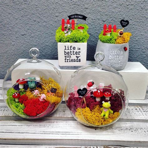 아트플라워 Artflowermart 스칸디아모스 입니다 수입이끼로 유명한데요 이녀석은 물도 안줘도되는데 제습효과와