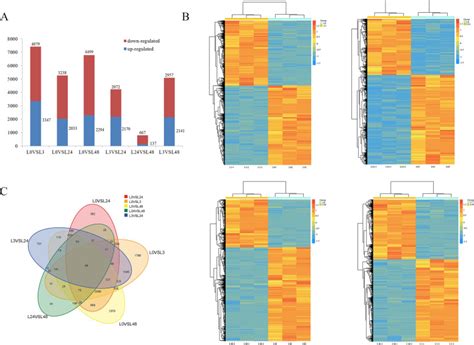 Combined Transcriptomic And Metabolomic Analyses Elucidate Key Salt
