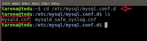 Mysql远程连接 Csdn博客