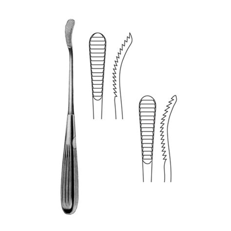 Bone Rasp Aretabrenco