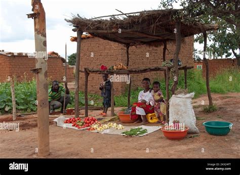 Small Market Stall With Vegetables Lubumbashi Katanga Province Democratic Republic Of The
