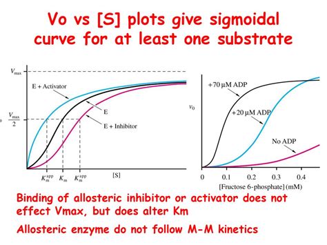 Enzyme Regulation Ppt Download