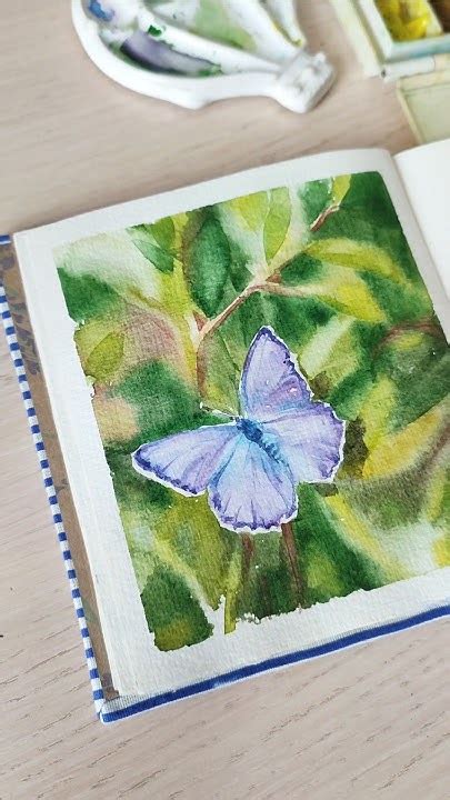 Бабочка акварелью акварель скетч Youtube
