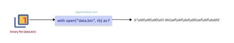 How To A Read Binary File In Python