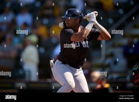 New York Yankees Roderick Arias 84 At Bat During An Mlb Spring