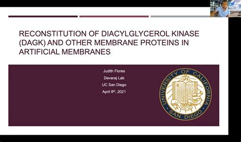 Reconstitution Of Membrane Proteins Via Oxime Mediated In Situ