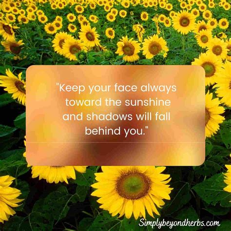 Flowers Photography Quotes 80 Best Good Morning Quotes With Flowers