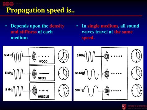What Is The Definition Of Propagation Speed At Jackson Guilfoyle Blog
