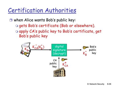Chap8 Network Security Ppt Free Download