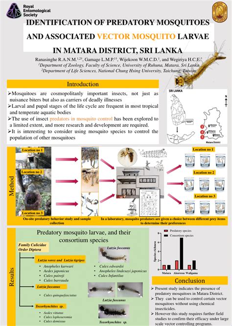 Pdf Identification Of Predatory Mosquitoes And Associated Vector Mosquito Larvae In Matra