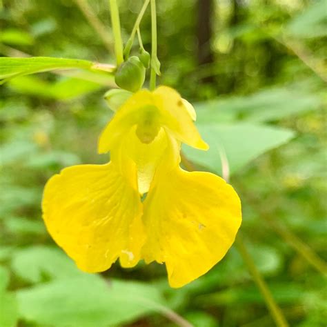 Marion Fleming Was Born And Raised Eclectic Art Prints Facebook