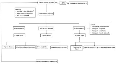 Protocol Of Intraoperative Fluid And Vasoactive Medication Download Scientific Diagram