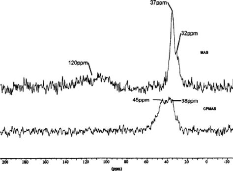 13 C Nmr Mas Top And Cpmas Bottom Spectra Of A Dnd Sample