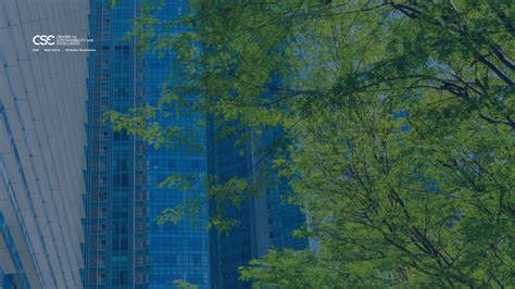 Csrd And Esrs Compliance For U S Companies