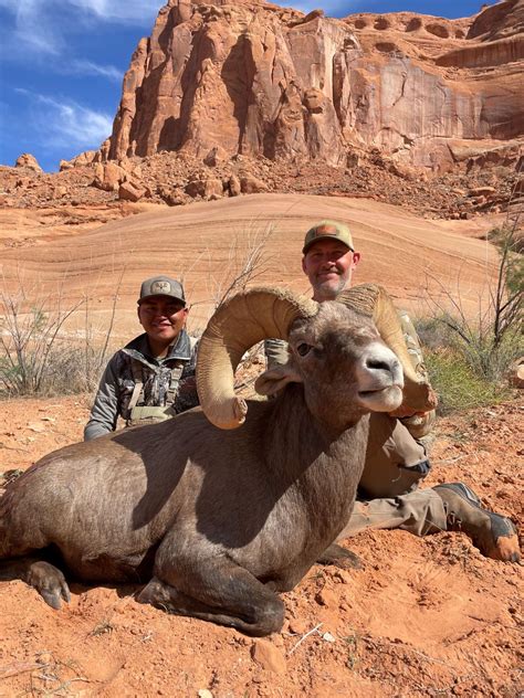 Navajo Nation Desert Bighorn Navajo Nation Department Of Fish