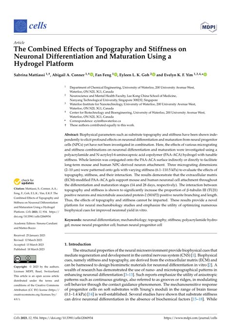 Pdf The Combined Effects Of Topography And Stiffness On Neuronal Differentiation And