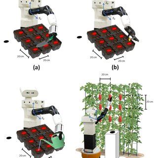 A Graphical Illustration Of The Target Positions For A Digging B Download Scientific