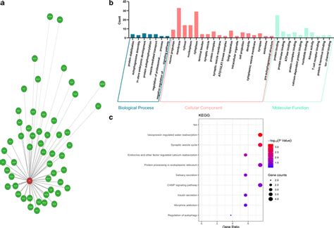 Visualization Analysis Of Fto Interaction Network Go And Kegg In The