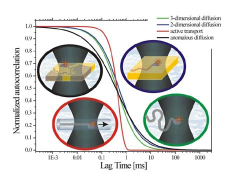 Model Autocorrelation Curves For Different Kinds Of Particle Motion Download Scientific Diagram