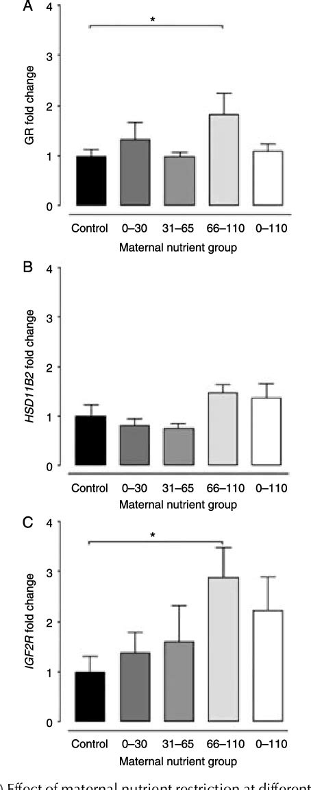 Figure 1 From The Differential Effects Of The Timing Of Maternal Nutrient Restriction In The