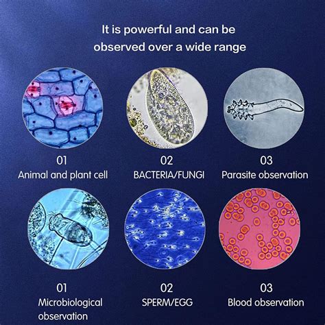 Compound Trinocular Microscope 40x 5000x Kentfaith Microscopes Kandf Concept