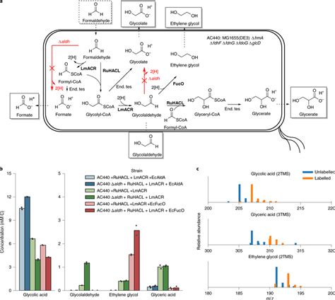 Resting Cell Bioconversions Of C1 Substrate Formaldehyde Using The Download Scientific Diagram