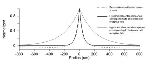 The Neural Receptive Field Of Error Estimating Cells Hypothesized By Download Scientific