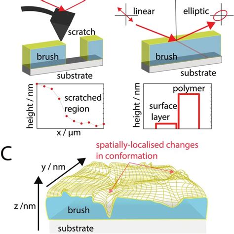 Schematics Demonstrating A Scratch Afm B Spectroscopic Download Scientific Diagram