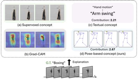 論文レビュー Pcbear Pose Concept Bottleneck For Explainable Action Recognition