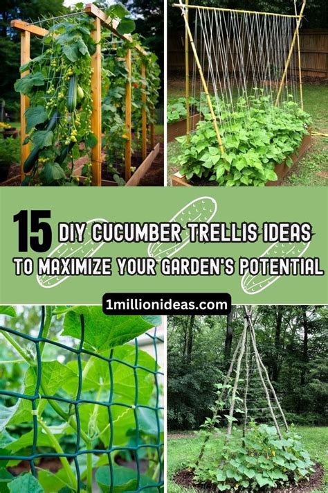 Diy Cucumber Trellis Raised Bed Diy Cucumber Trellis Easy Container Diy Cucumber Face Mask Diy