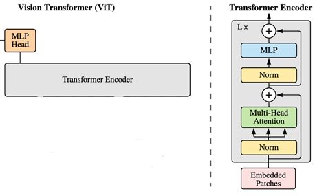 手把手教你实现pytorch版vit：图像分类任务中的transformer实战 Skyxz 博客园