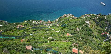 Amalficoast And The Terraced Lemon At Higher Levels The … Flickr