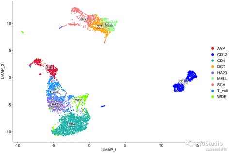 如何利用ggplot2画发文章级别的t sne图 tsne图 csdn博客