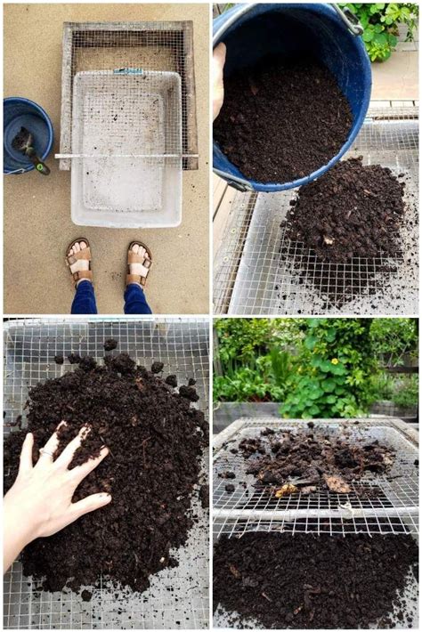How To Harvest Worm Castings From A Simple Worm Compost Bin Worm Composting Vermicomposting