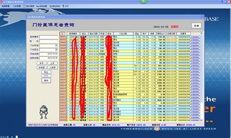 基本医疗保险管理系统我用Access Oracle开发的作品照片及学习报告Access软件网