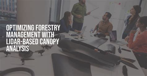 Optimizing Forestry Management With Lidar Based Canopy Analysis