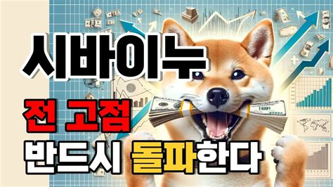 시바이누 전 고점 반드시 돌파한다 그게 언제냐구요 바로 알려드릴게요 Youtube