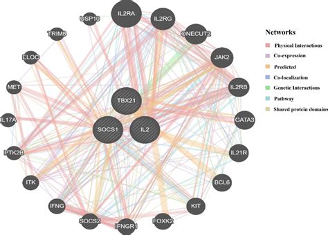 Gene Gene Interaction Networks Constructed By Genemania Each Node In