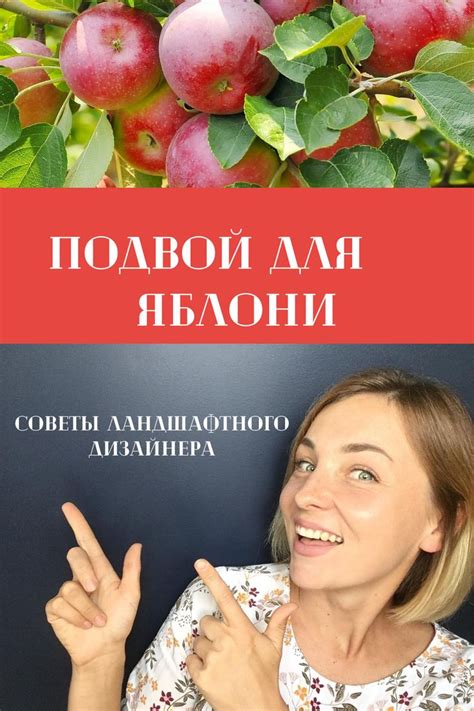 На каком подвое покупать саженцы яблони?!