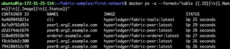 hyperledger fabric 2 0链码操作详解 学习软件编程