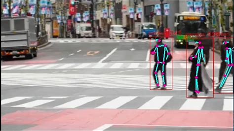 Yolo Pose Estimation On The Raspberry Pi Ai Hat Writing Custom Python Code Tutorial Australia