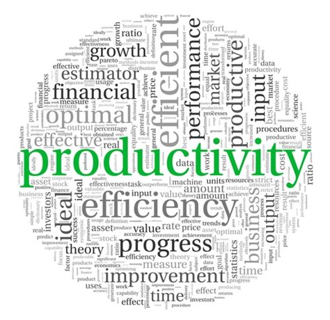 Productivity Measurement Nesma