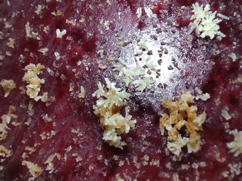 Dmt Extract R Dmtguide