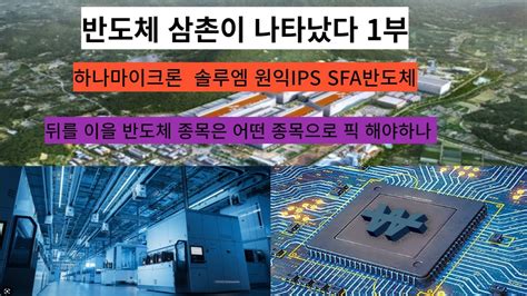반도체종목을 매수 해야되는 이유 반도체 삼촌이 말하는 반도체 리뷰 하나마이크론 원익ips 솔루엠 Sfa반도체 엘비세미콘 Db하이텍 한미반도체 Youtube