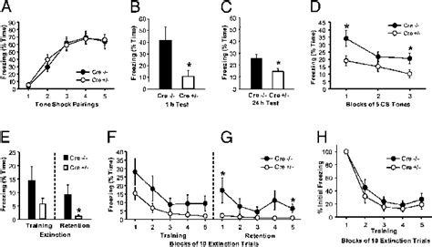 Neocortical Bdnf Expression Is Required For Short Term And Long Term Download Scientific