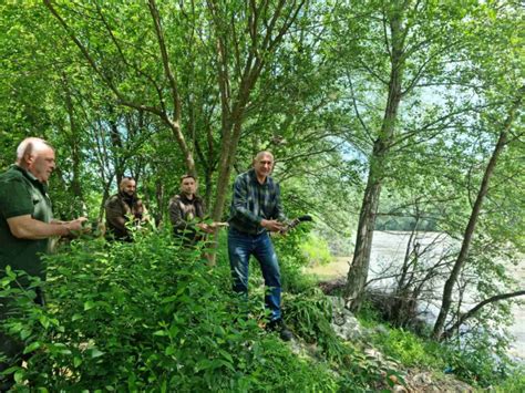 Онлайн вестник Струма Общество Ловци от Симитли и горски пуснаха в река Струма 40 полудиви