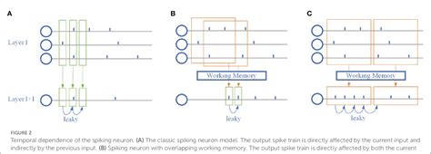 Figure 2 From Spiking Neural Network With Working Memory Can Integrate And Rectify