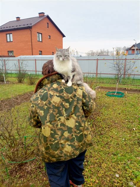 Фото питомца помощница в любом деле