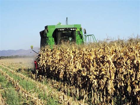 Laer Someroes Verras Nóg Kleiner As Verwag Landbou